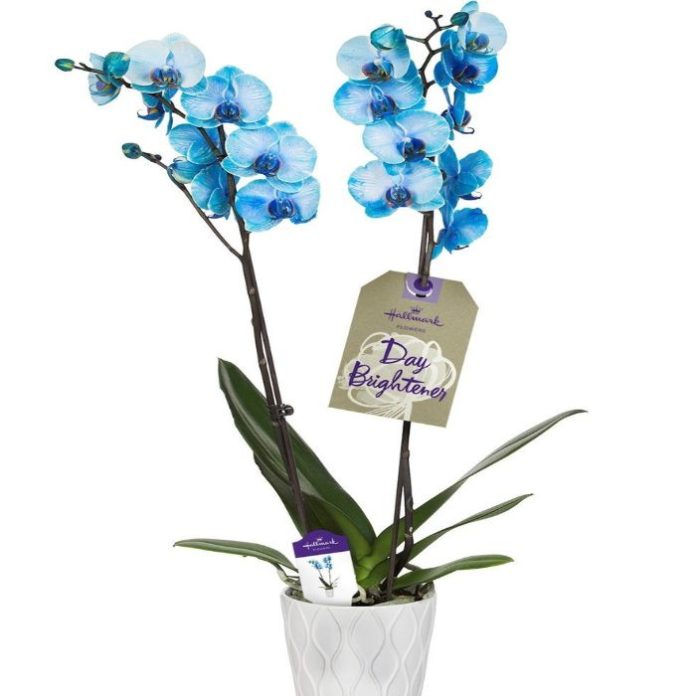 41 Best 28th Wedding Anniversary Gift Ideas For Celebration