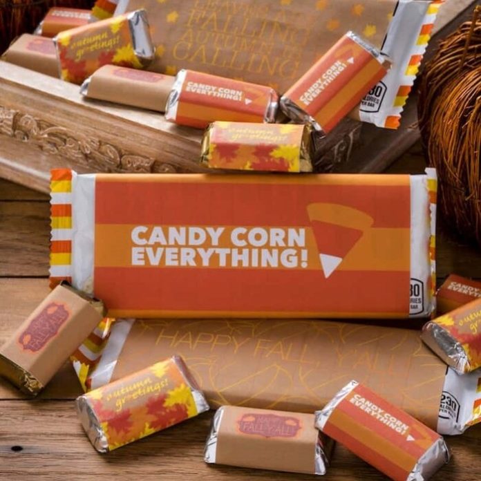 38 Charming Fall Wedding Favors For Your Loved Ones (2024)