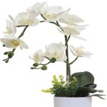 41 Best 28th Wedding Anniversary Gift Ideas For Celebration