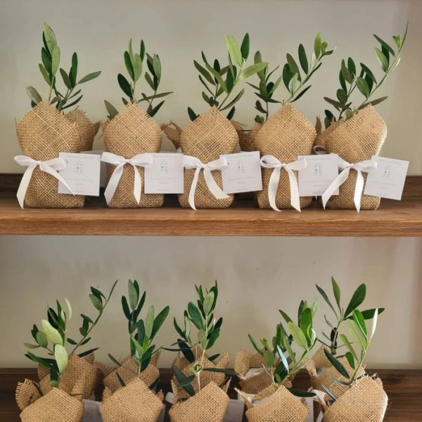 The Most Delightful Spring Wedding Favors Ideas In 2025